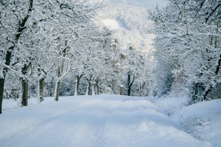 Frost: what are, types and how they affect - Evidence Network
