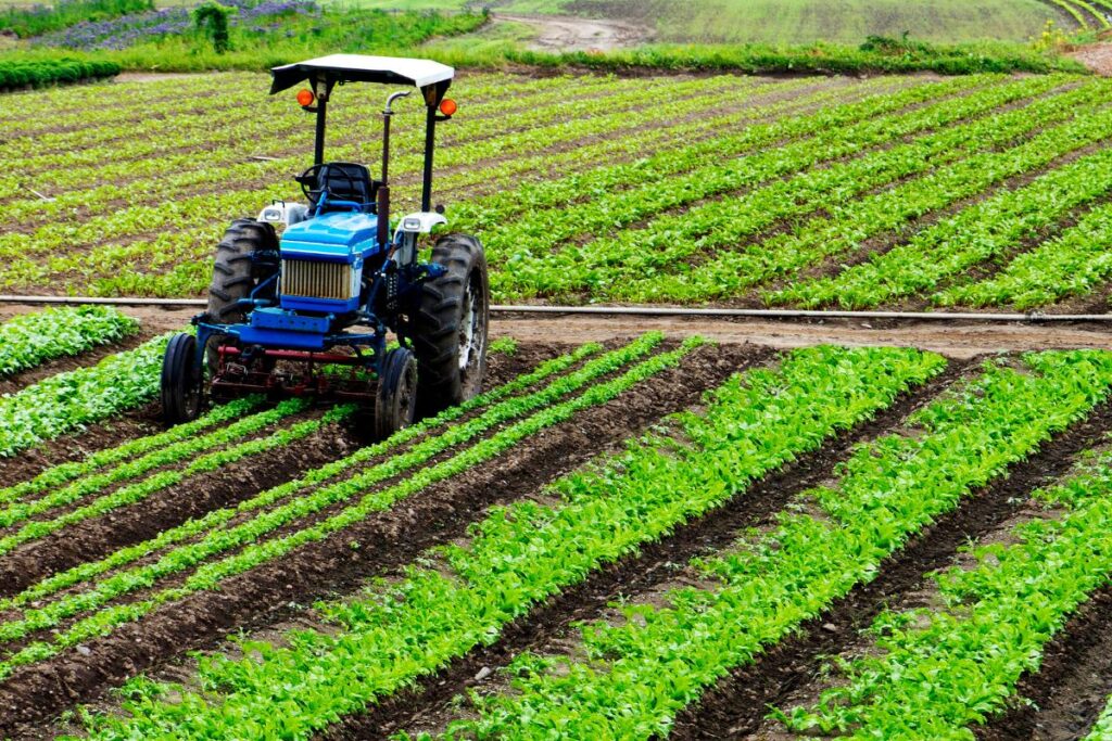 Agricultural sector: What is, activities and importance - Evidence Network