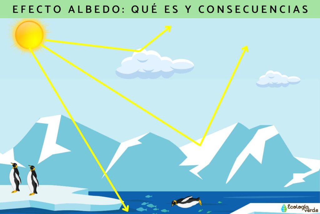 ALBEDO EFFECT: What is and consequences - Evidence Network