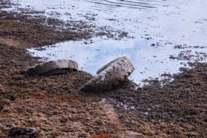 Leachate: definition, examples and treatment - Evidence Network