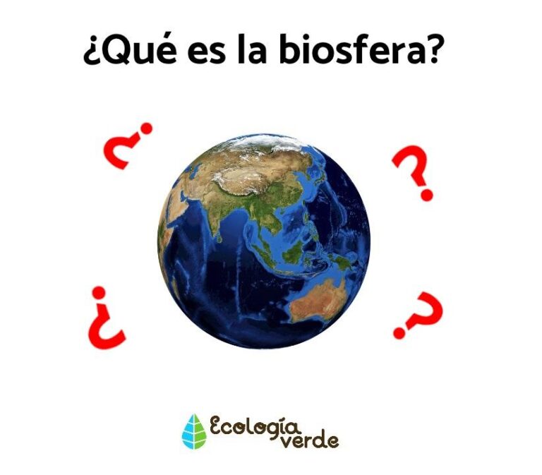 What is the biosphere: layers and characteristics - Evidence Network