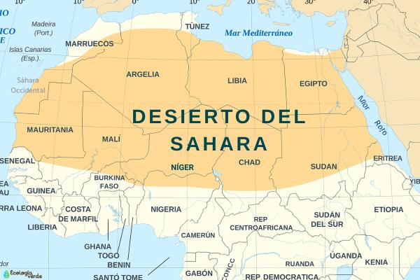 Sahara Desert: where it is, countries, temperature, animals and floods ...