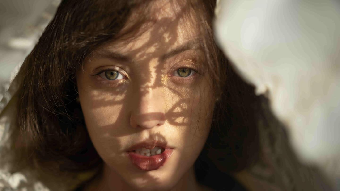 Gallinaceas or galliformes: what are, characteristics, classification ...