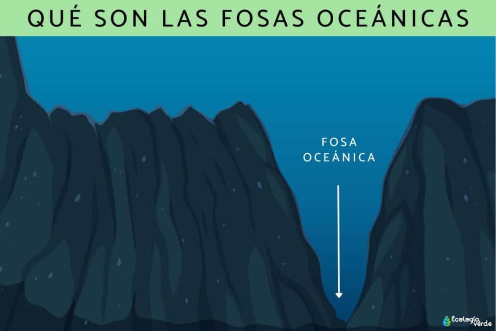 Ocean trenches: what they are, how they are formed, examples and which ...